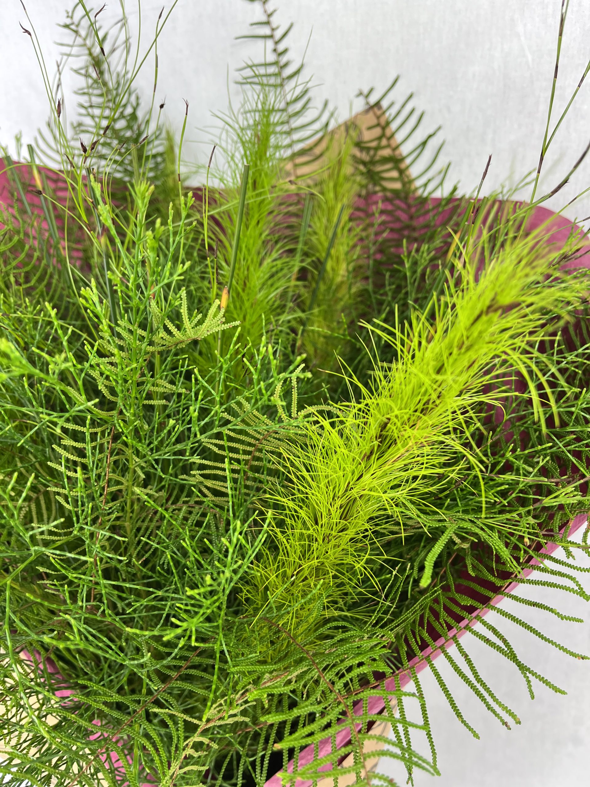 Green Native Foliage Bouquet - Australian Bouquet Company