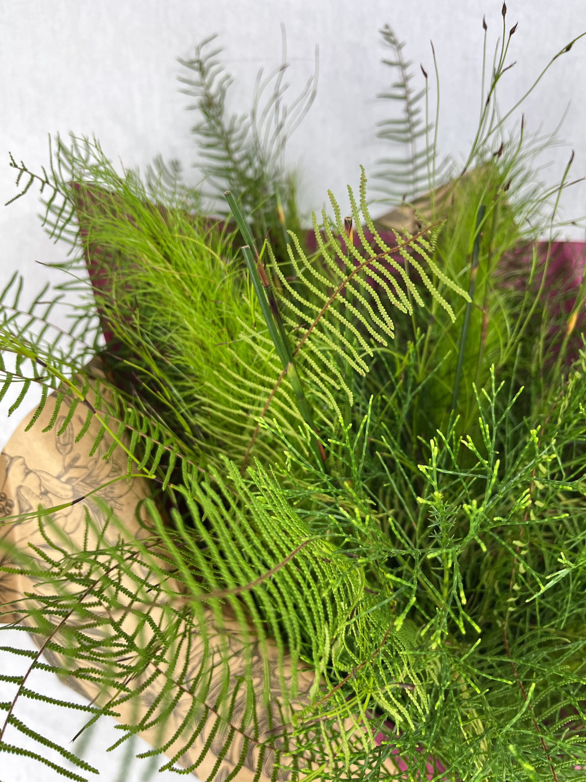 Green Native Foliage Bouquet - Australian Bouquet Company